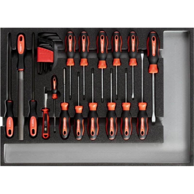 Gedore Red Jeu d'outils Gedore Rouge tournevis + limes CT module 26 pcs ...